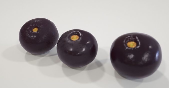 Akai acai 3D model | CGTrader