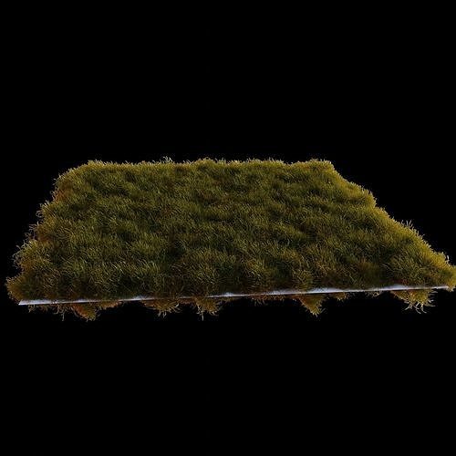 Realistic Grass 3D model | CGTrader