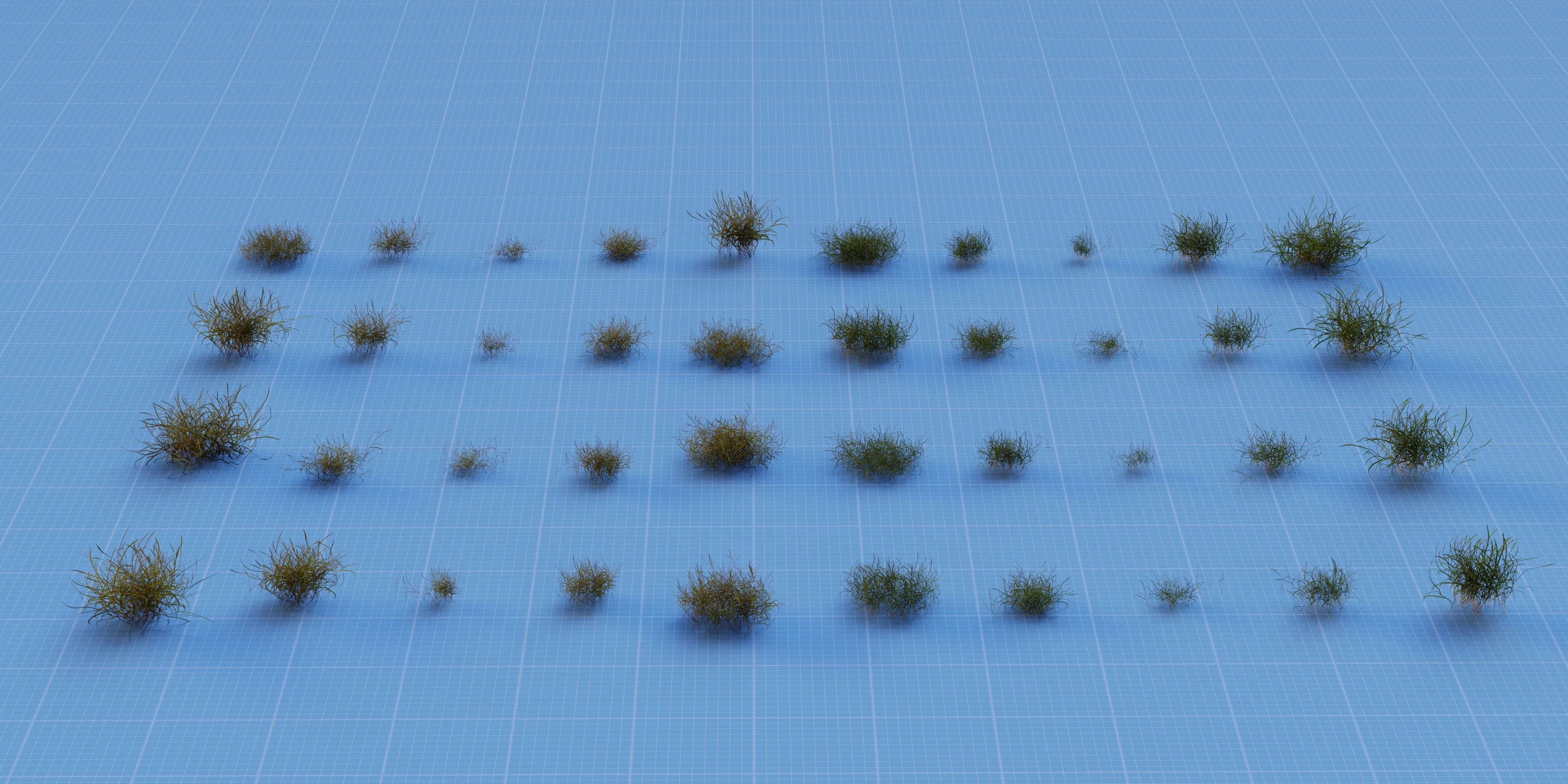 Realistic Grass 3D model | CGTrader