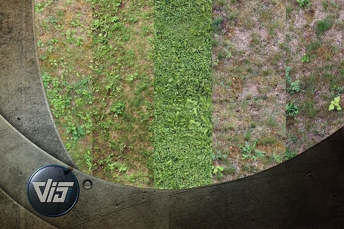 PBR Grass Textures Texture | CGTrader