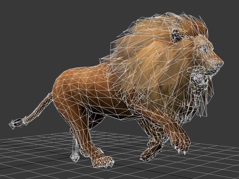 lion run loop 3D model | CGTrader