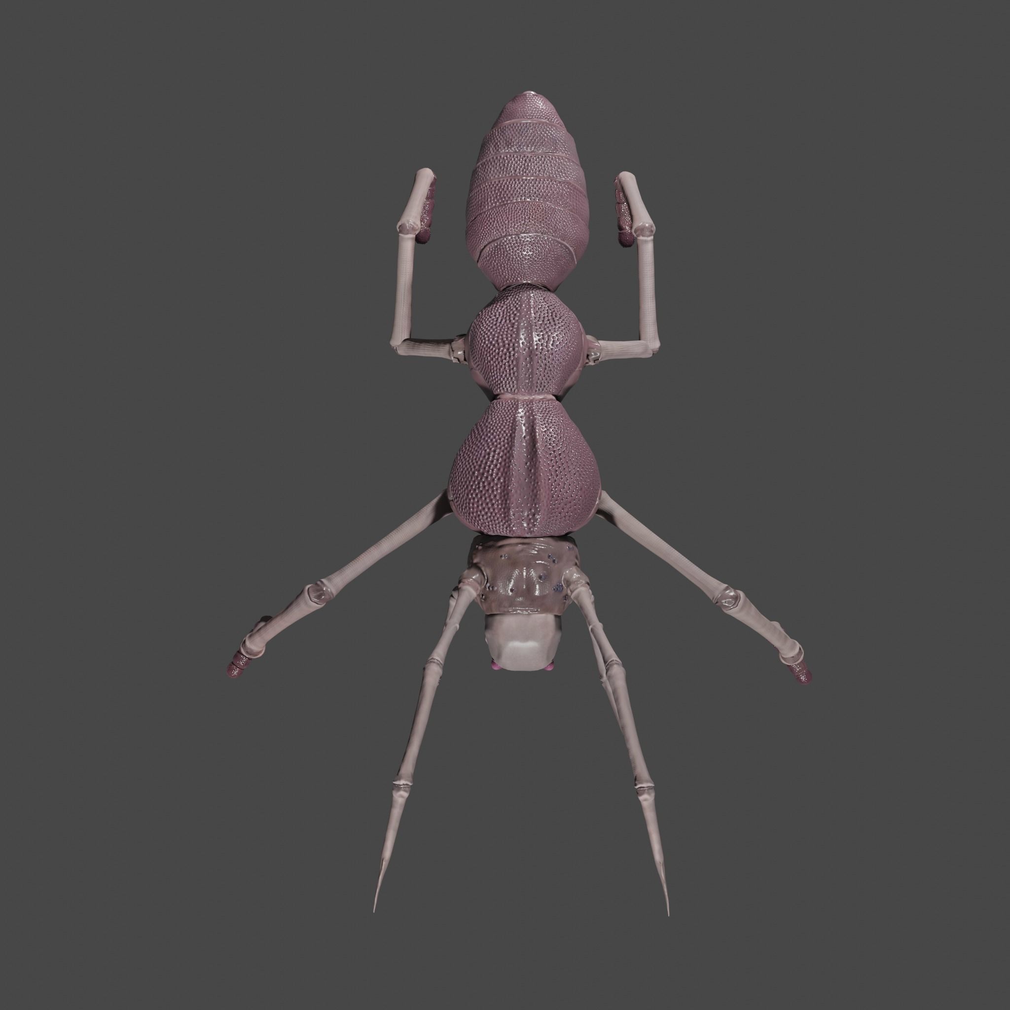 3D model Arthropoda creature VR / AR / low-poly | CGTrader