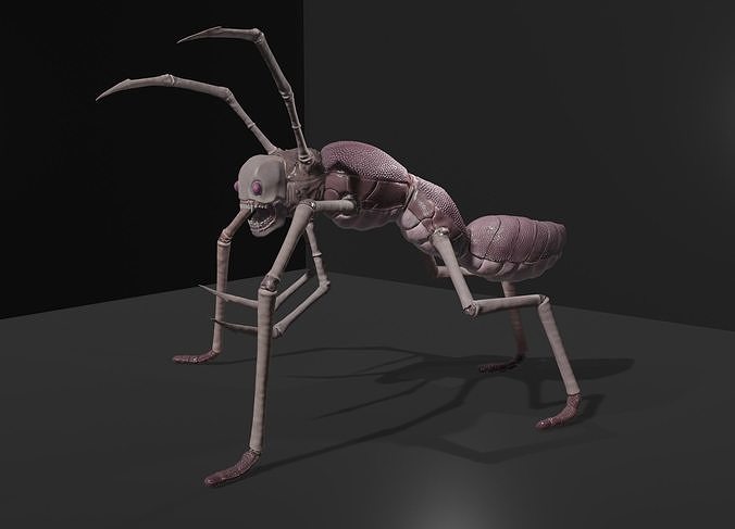 3D model Arthropoda creature VR / AR / low-poly | CGTrader
