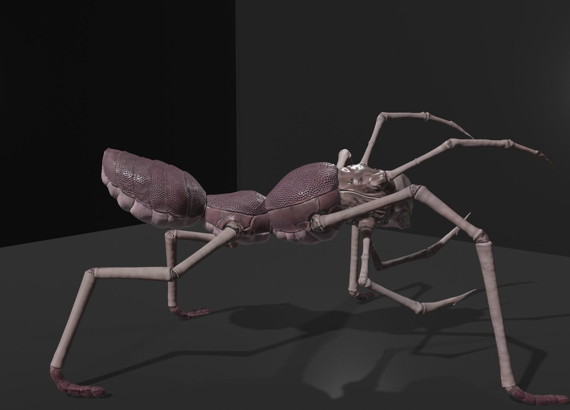 3D model Arthropoda creature VR / AR / low-poly | CGTrader