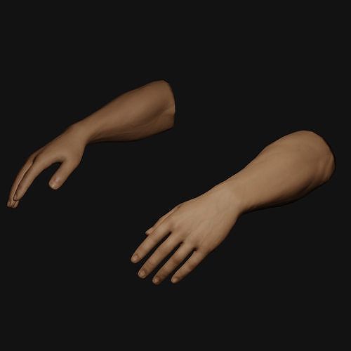 3D model Male Hands Rigged VR / AR / low-poly rigged | CGTrader