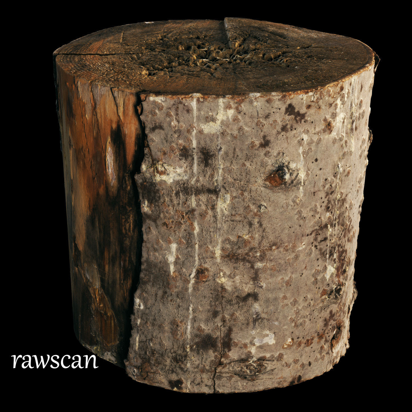 3D model Fir stump for splitting firewood VR / AR / low-poly | CGTrader