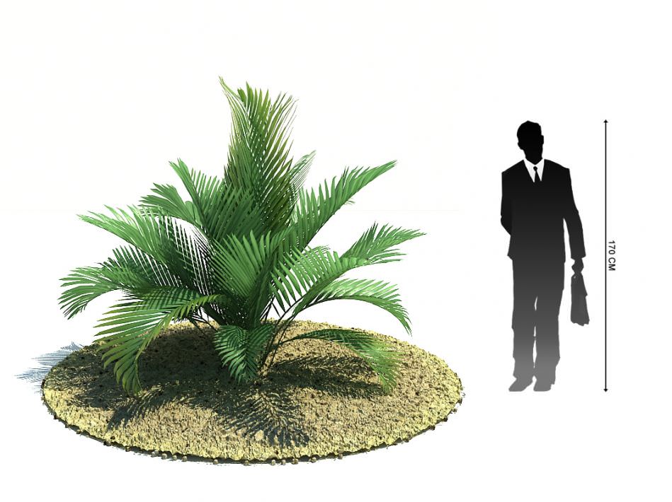 Green Plant Cgi Palm 3D model | CGTrader