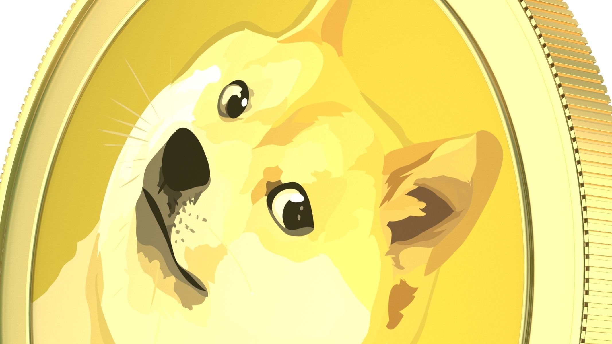 Dodge Coin 3D model | CGTrader