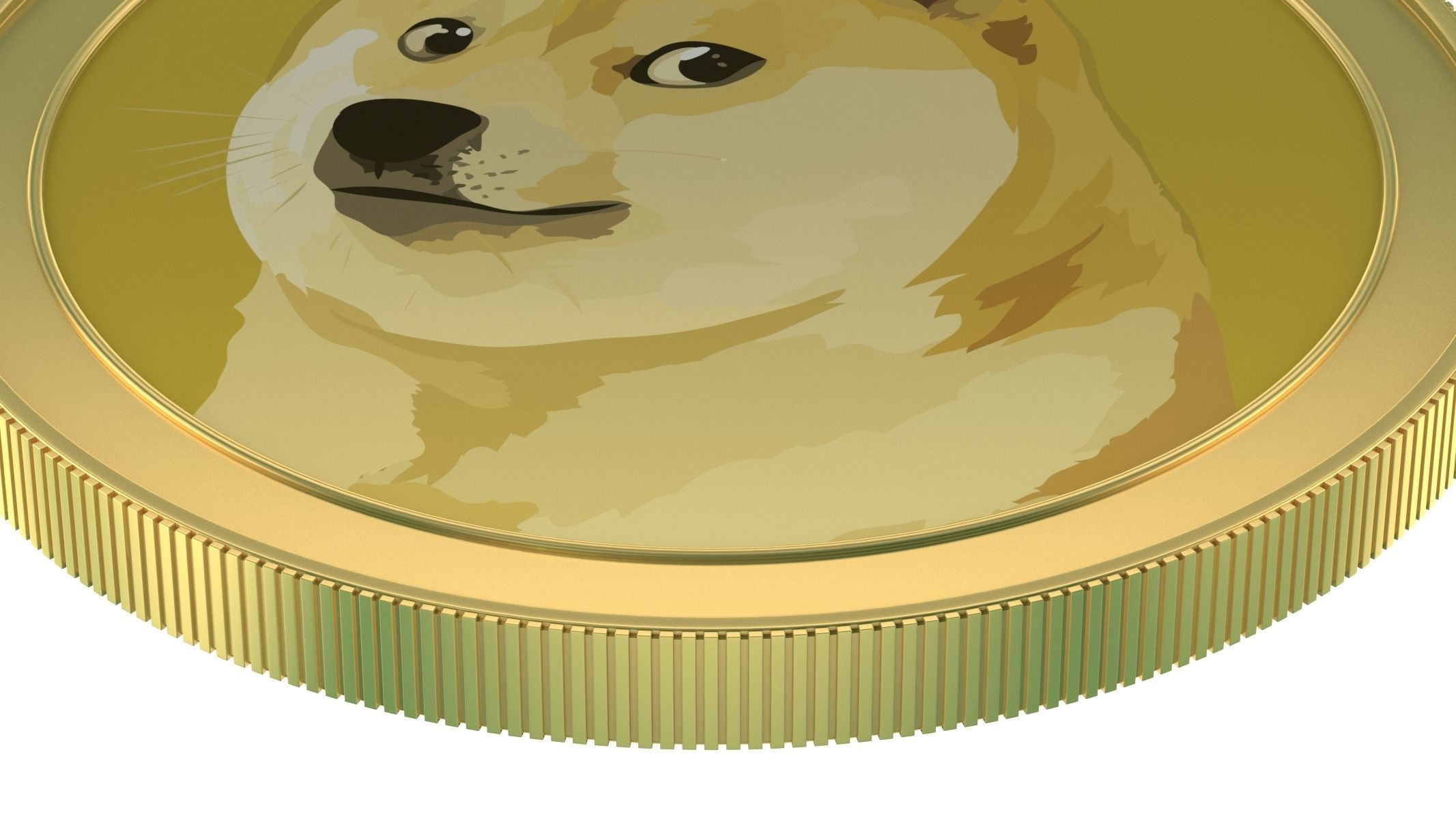 Dodge Coin 3D model | CGTrader