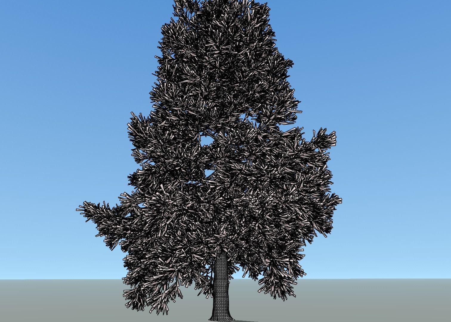 Conifer Tree 006 3D model animated | CGTrader