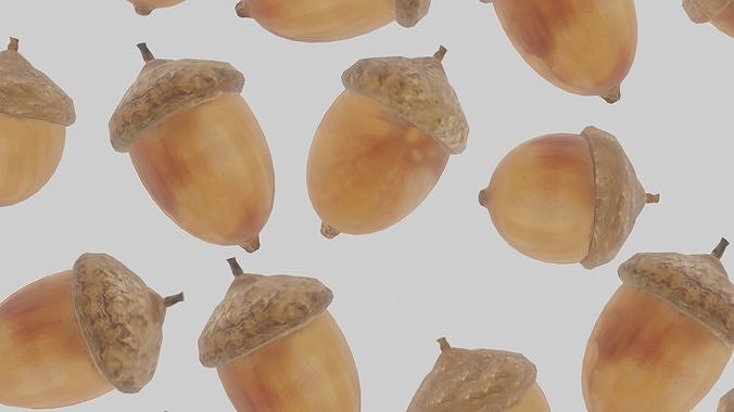 3D model Acorn acorns VR / AR / low-poly | CGTrader
