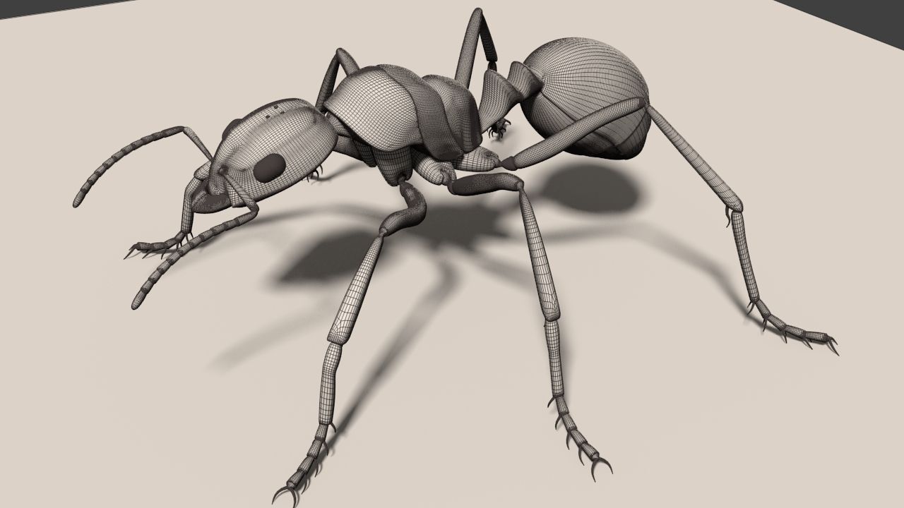 Fire Ant 3D model | CGTrader
