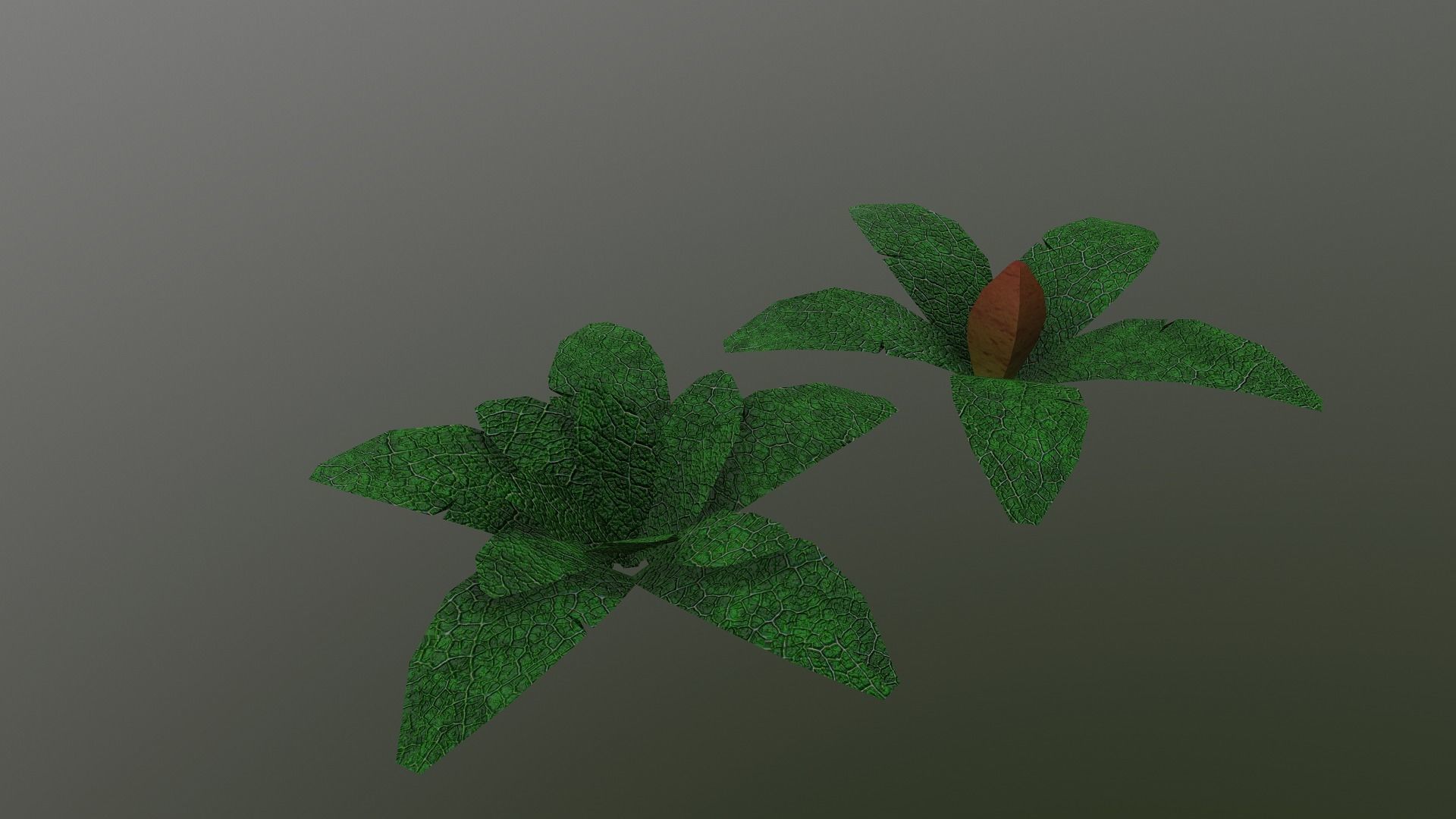 3D model Low Poly Tropical Plant VR / AR / low-poly | CGTrader