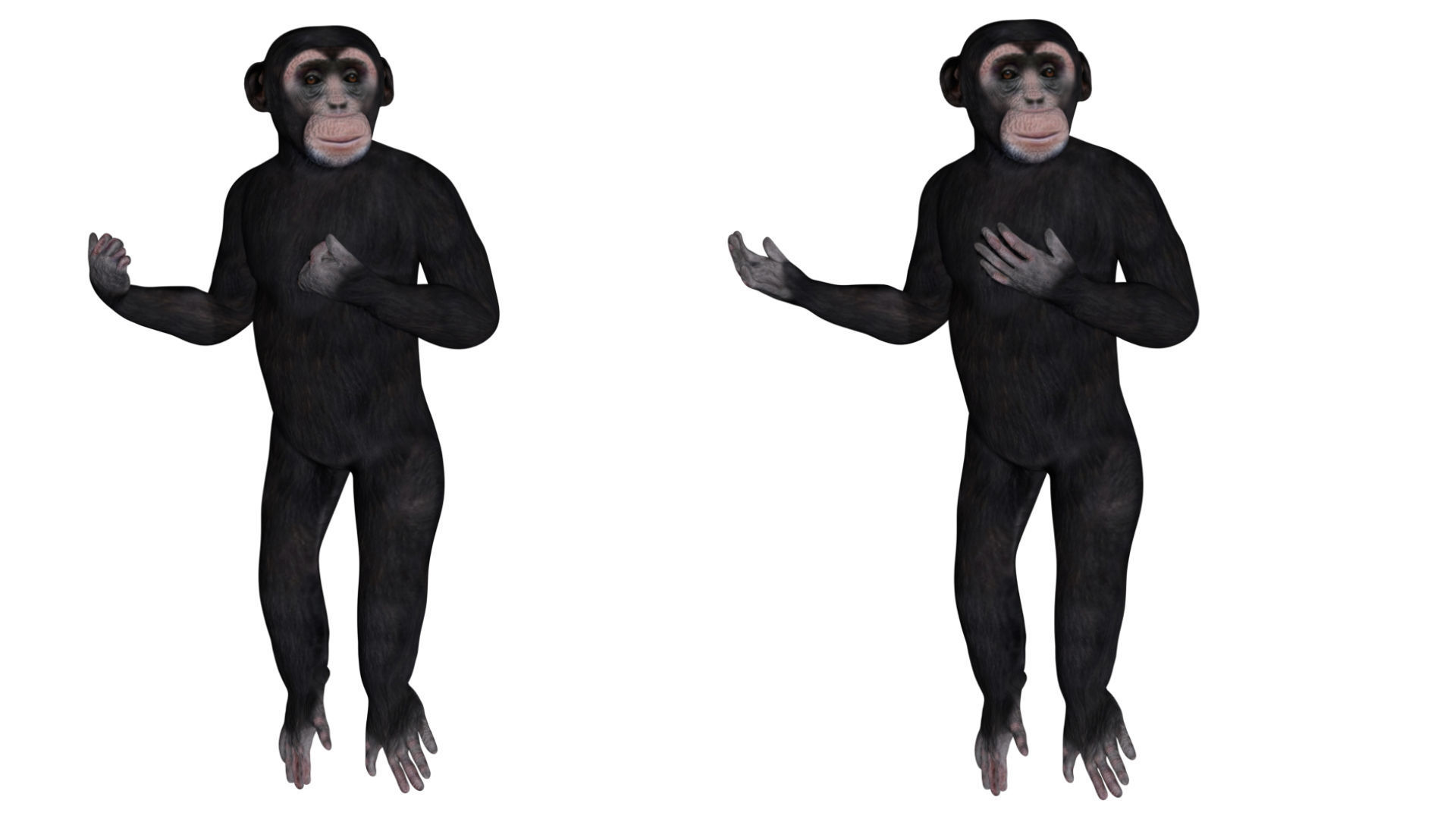 3D model Chimpanzee VR / AR / low-poly | CGTrader