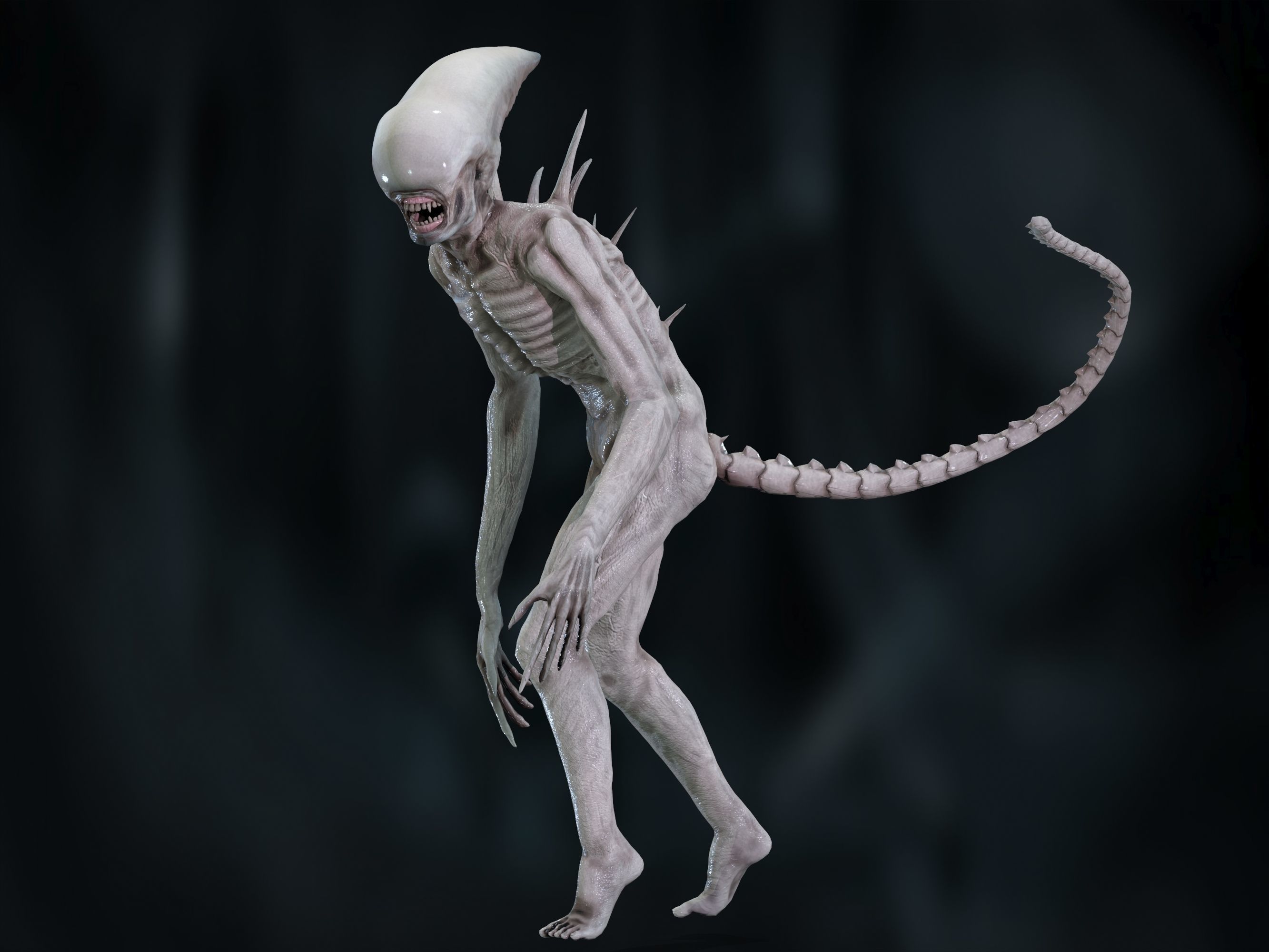 3D model Neomorph VR / AR / low-poly rigged | CGTrader