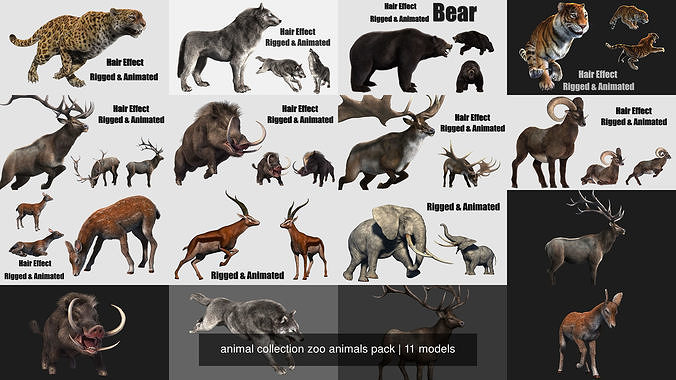 animal collection zoo animals pack VR / AR / low-poly | CGTrader