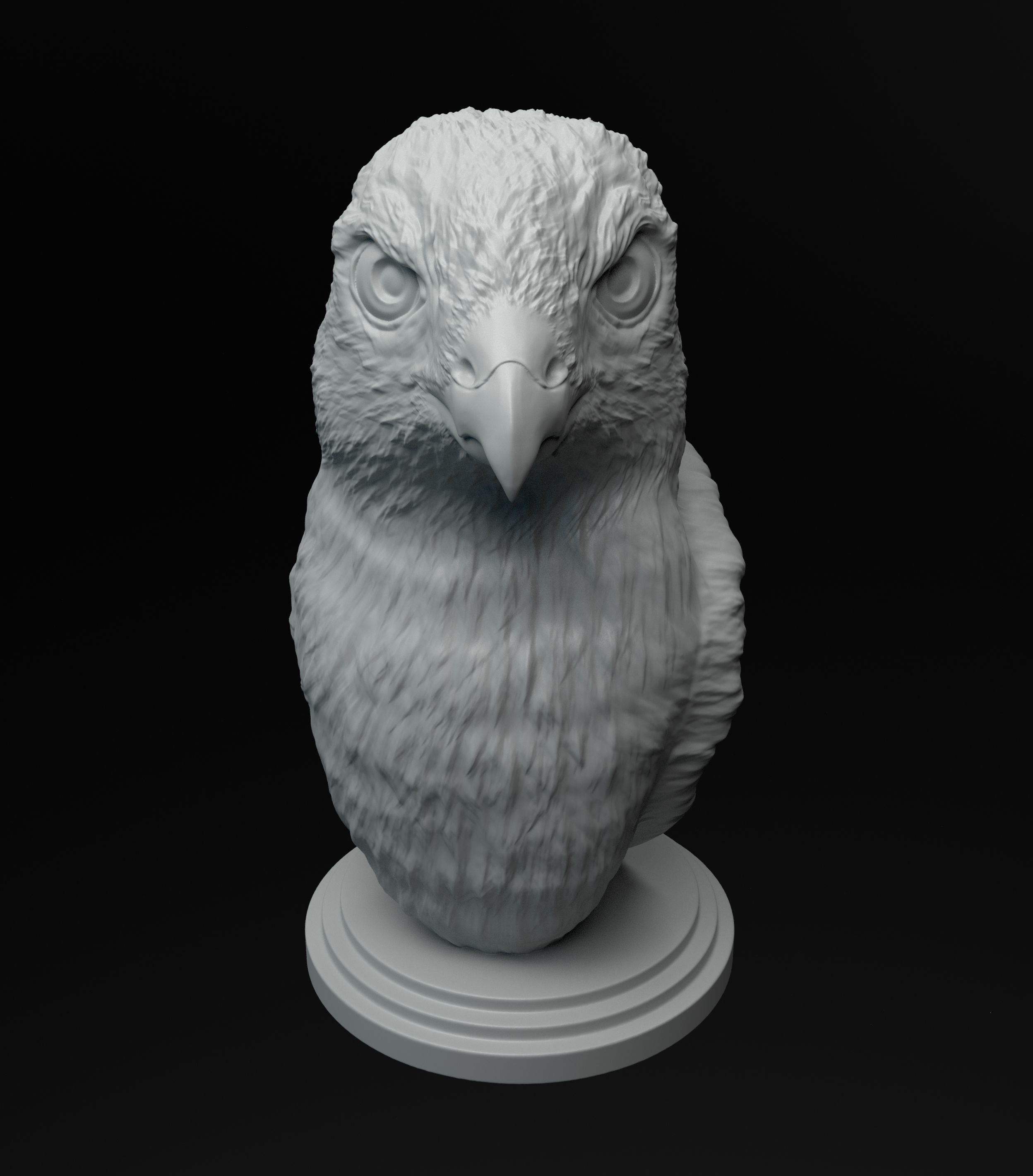 Hawk bust intended for 3D printing 3D model 3D printable | CGTrader