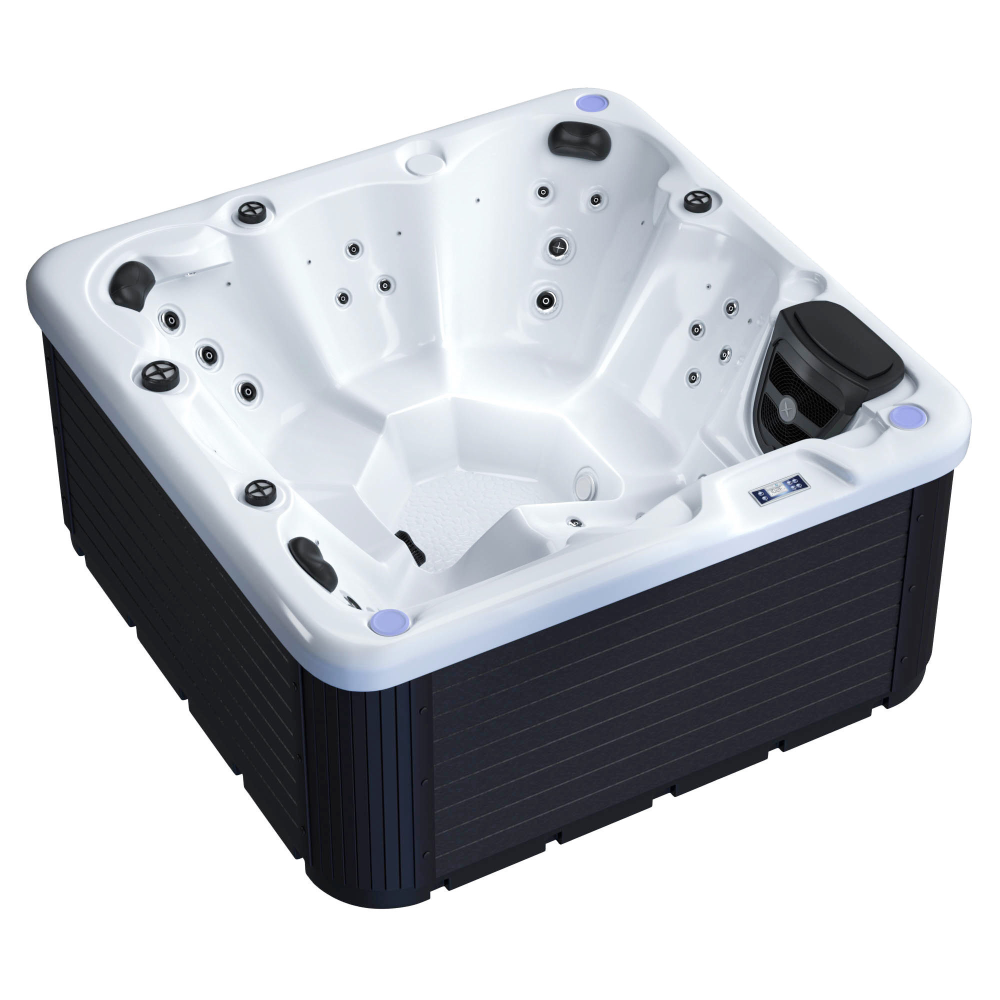 Jacuzzi Balboa SR810C T10 H06B 3D model | CGTrader