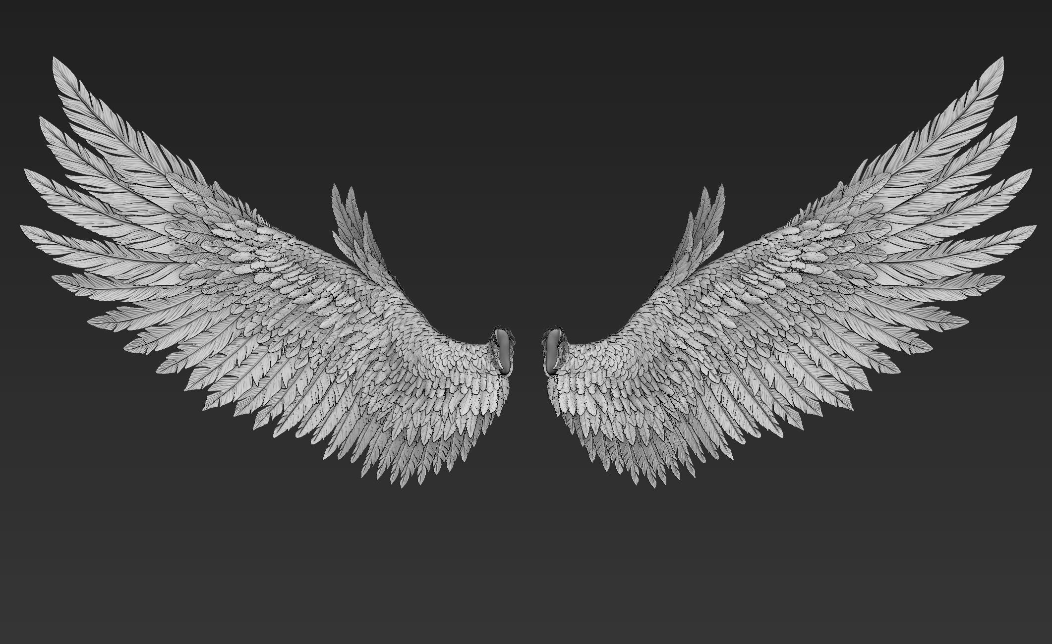 Wings Realistic pair of colorful feathered 3D model | CGTrader