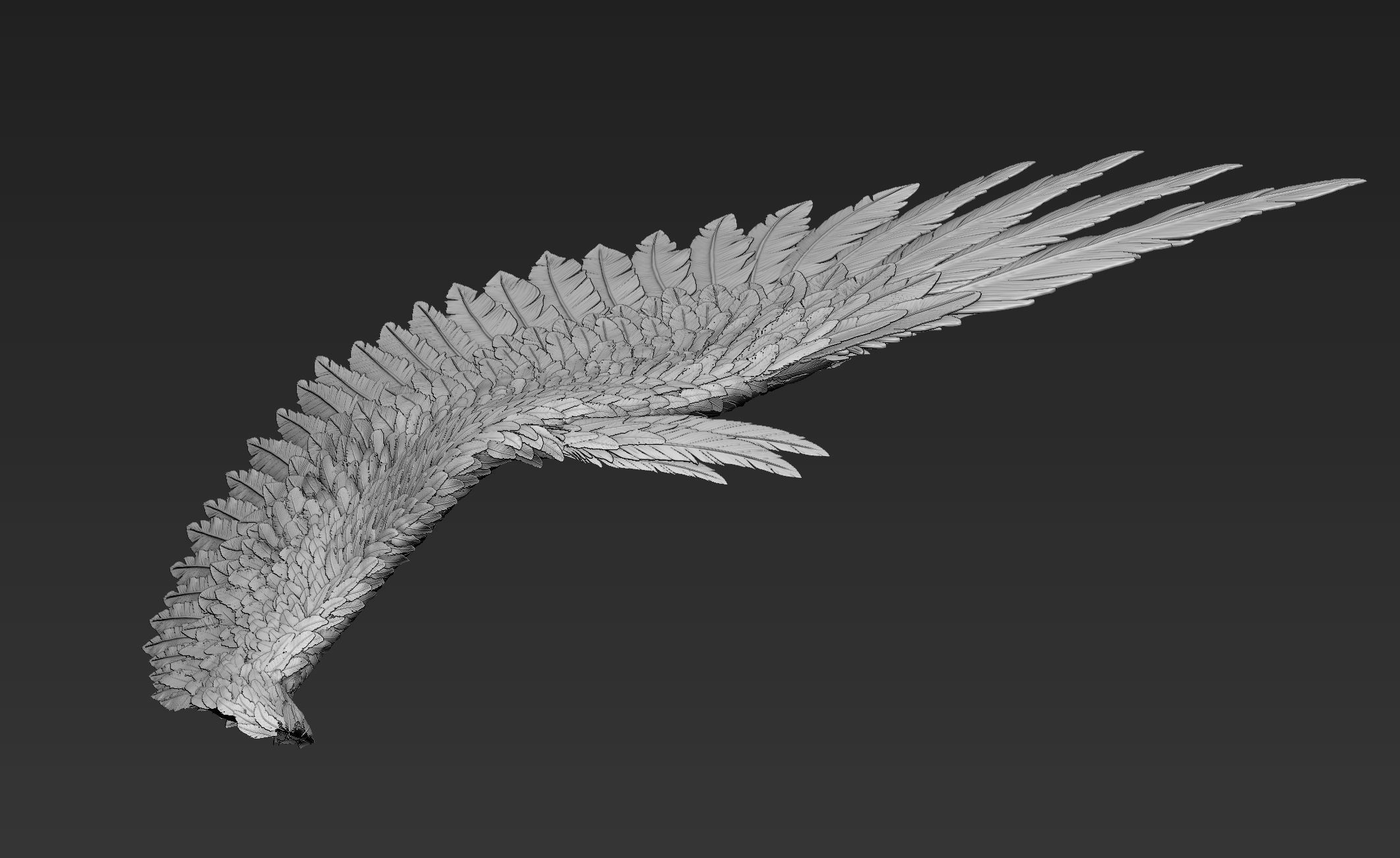 Wings Realistic 3D model | CGTrader