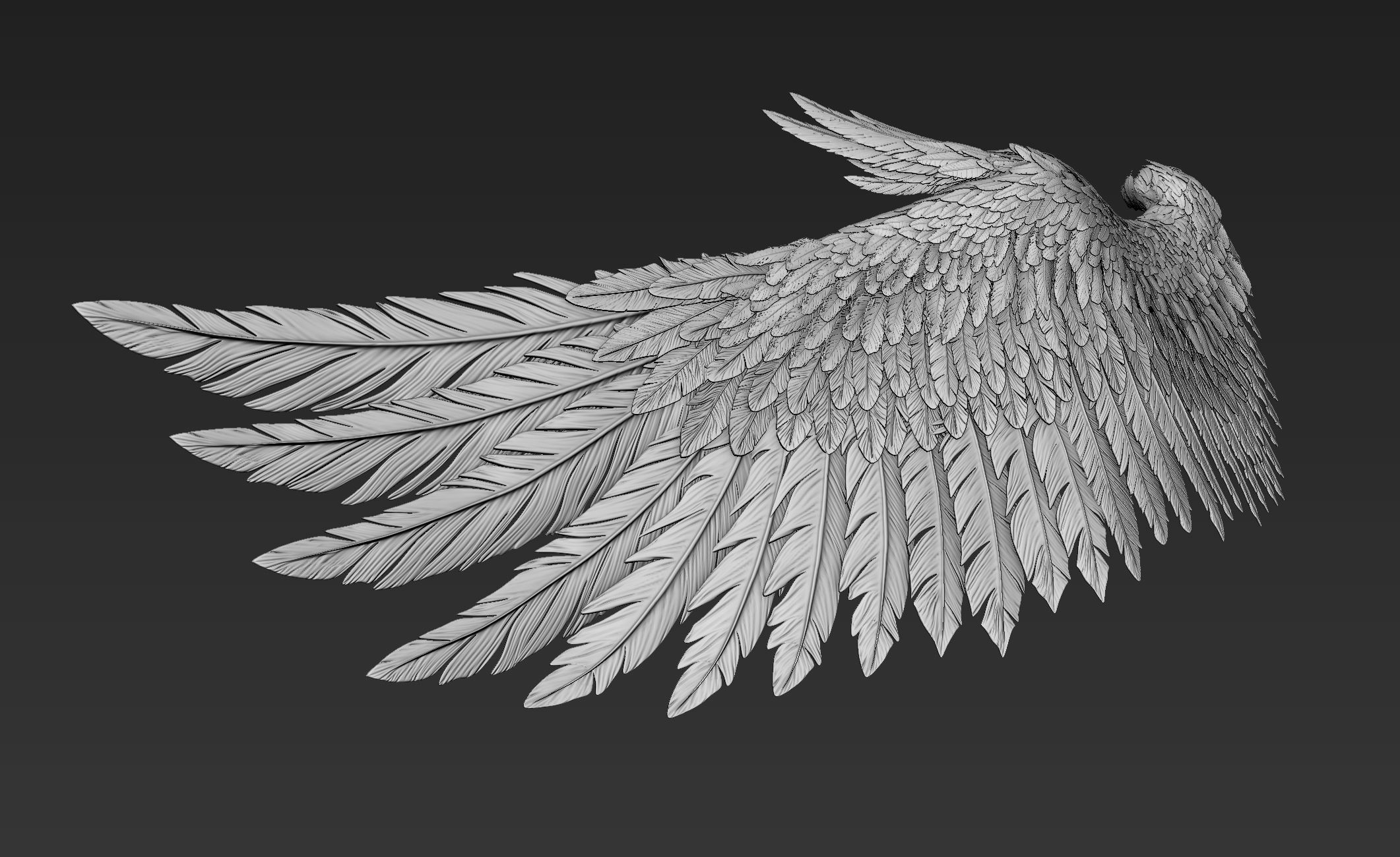 Wings Realistic pair of colorful feathered 3D model | CGTrader