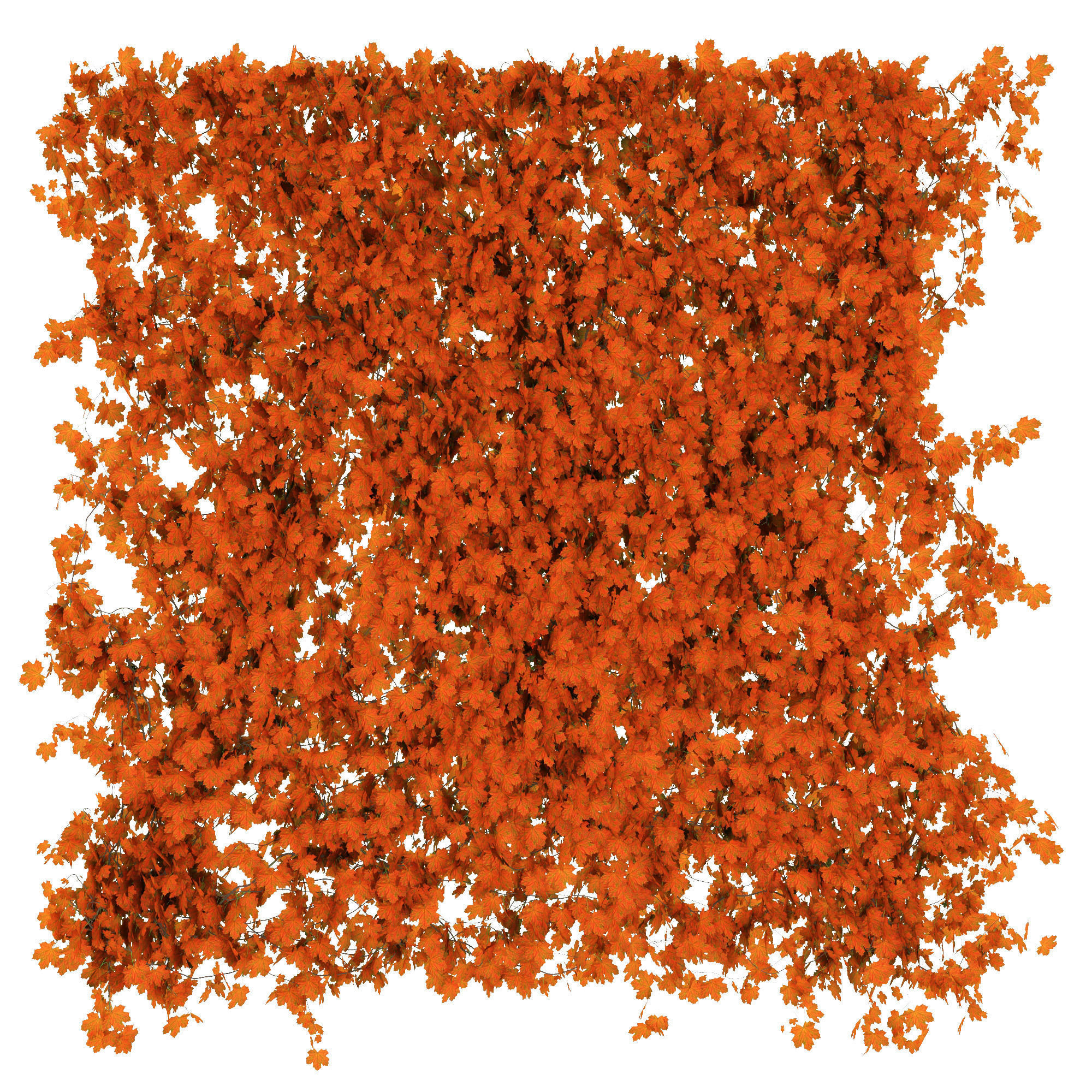 Maple wall 3 items 3D model | CGTrader