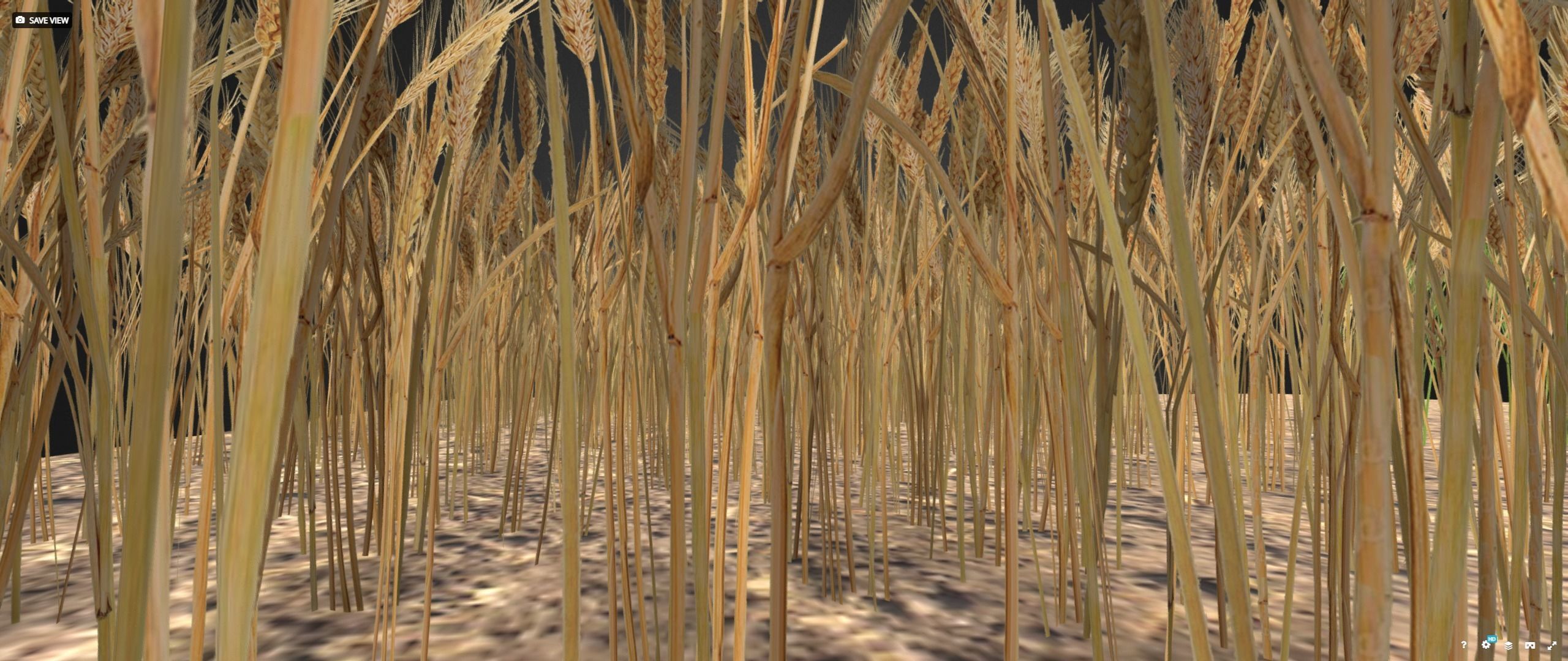 3D model Wheat field VR / AR / low-poly | CGTrader