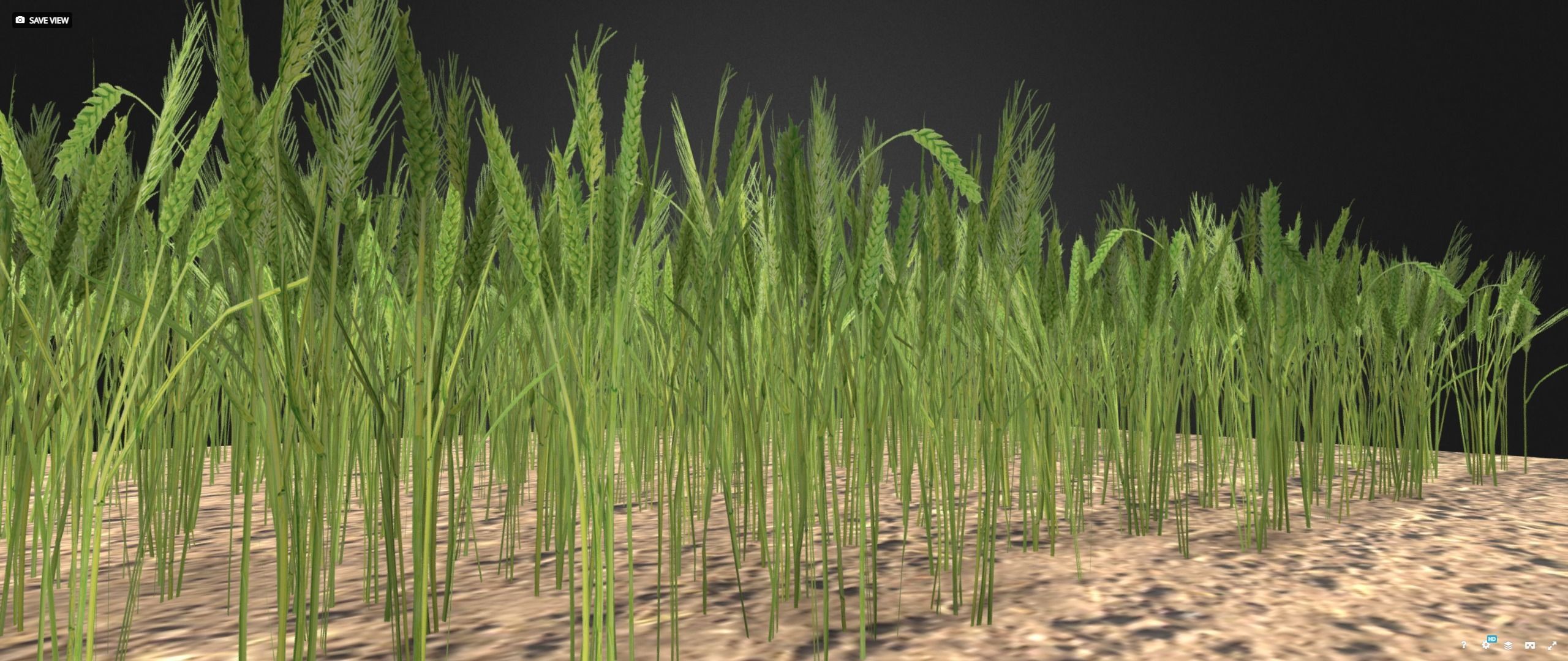 3D model Wheat field VR / AR / low-poly | CGTrader