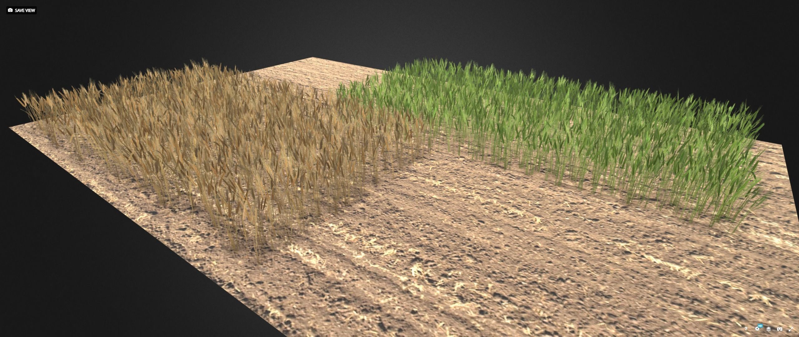3D model Wheat field VR / AR / low-poly | CGTrader