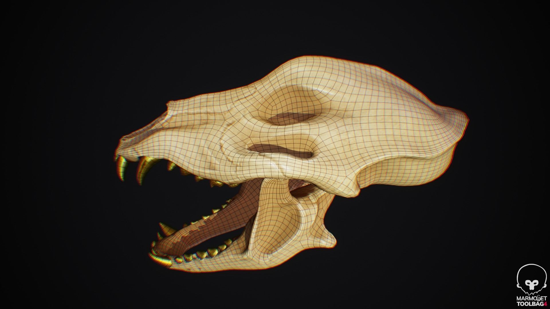 3D model Wolf Skull VR / AR / low-poly | CGTrader