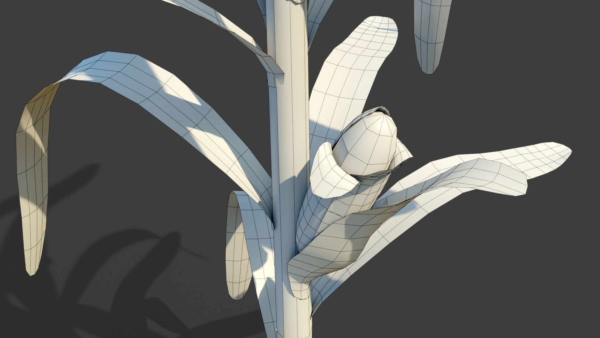3D model Stylized Corn Stalk VR / AR / low-poly | CGTrader