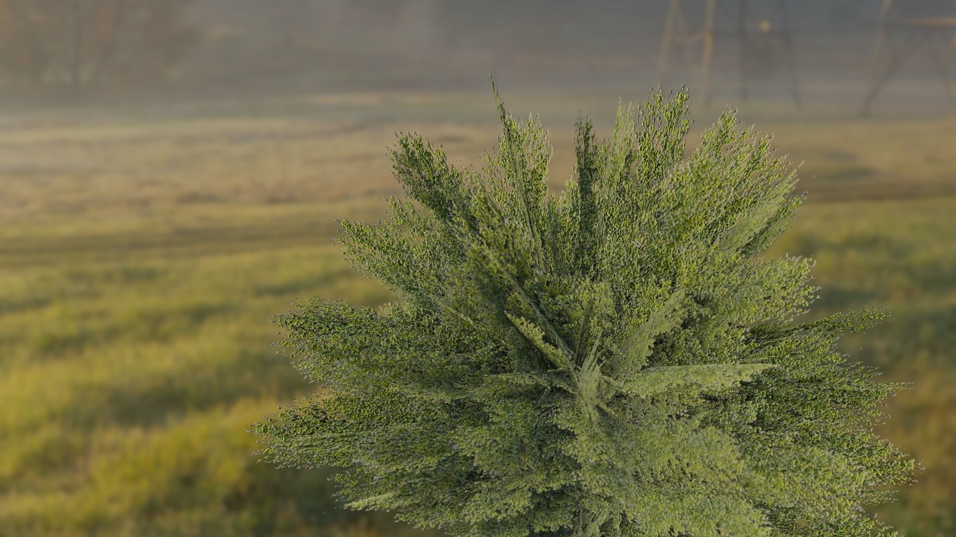 extremely low poly trees free VR / AR / low-poly 3D model | CGTrader