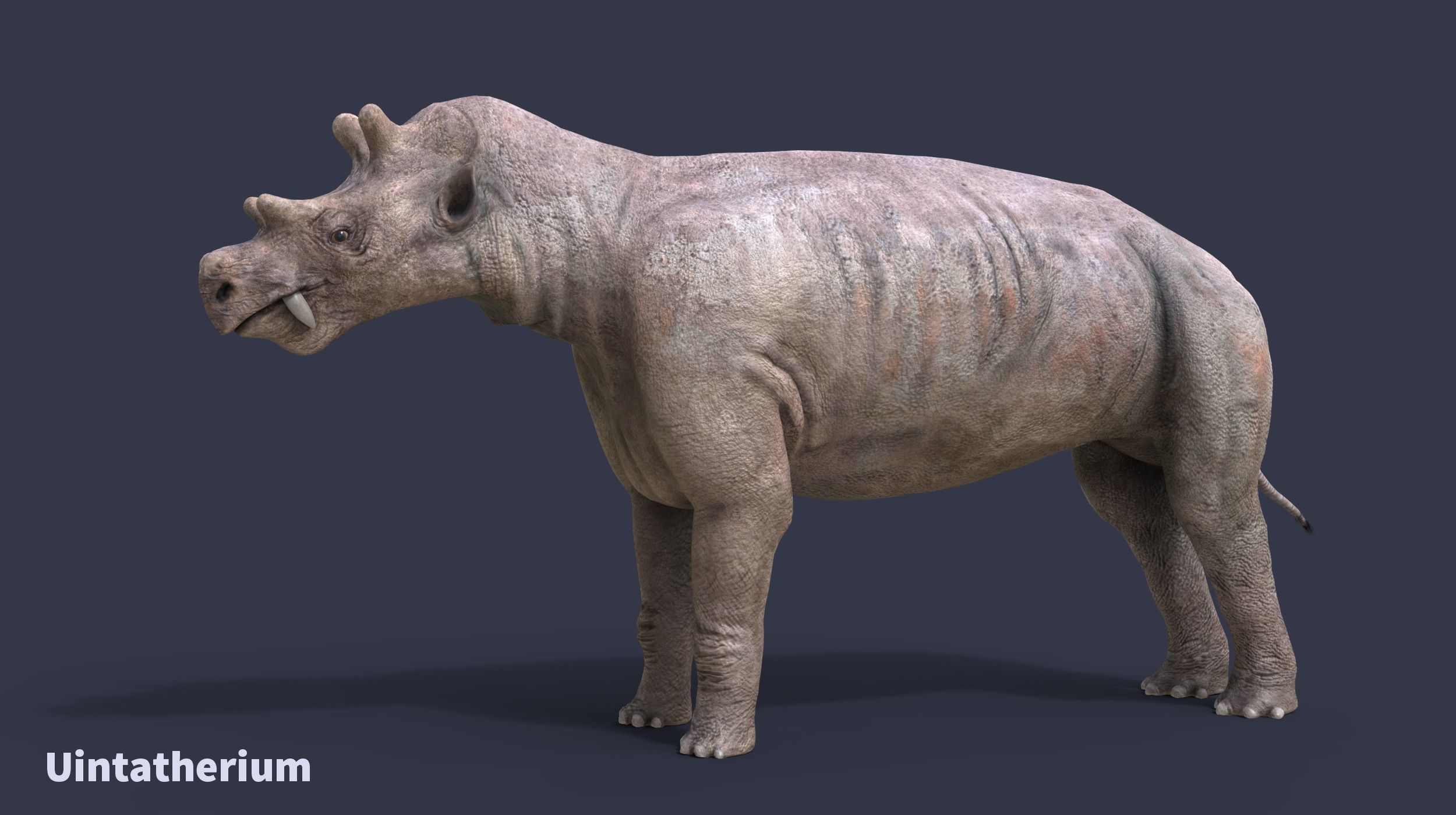 Extinct animals pack version 17 3D model | CGTrader