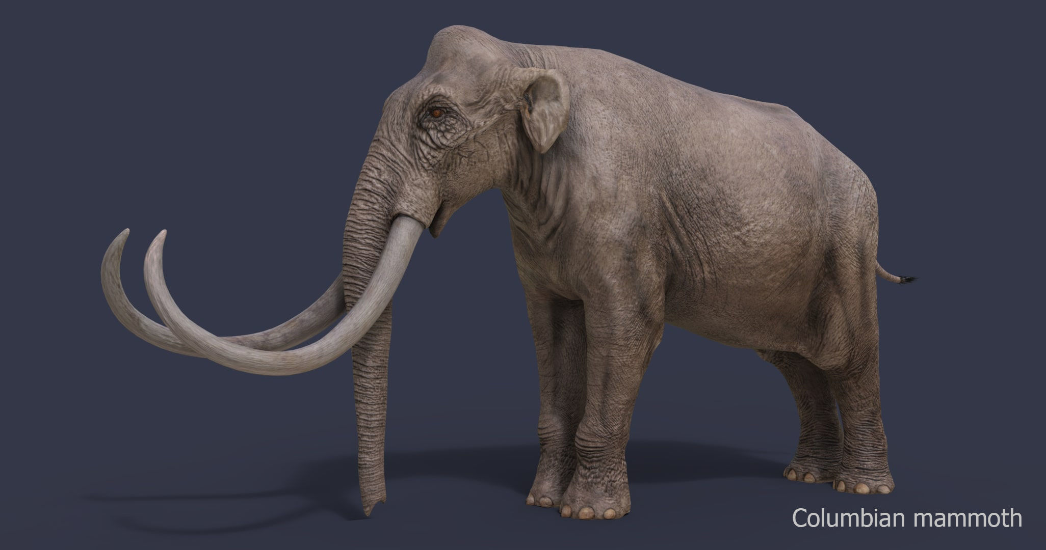 Extinct animals pack version 17 3D model | CGTrader