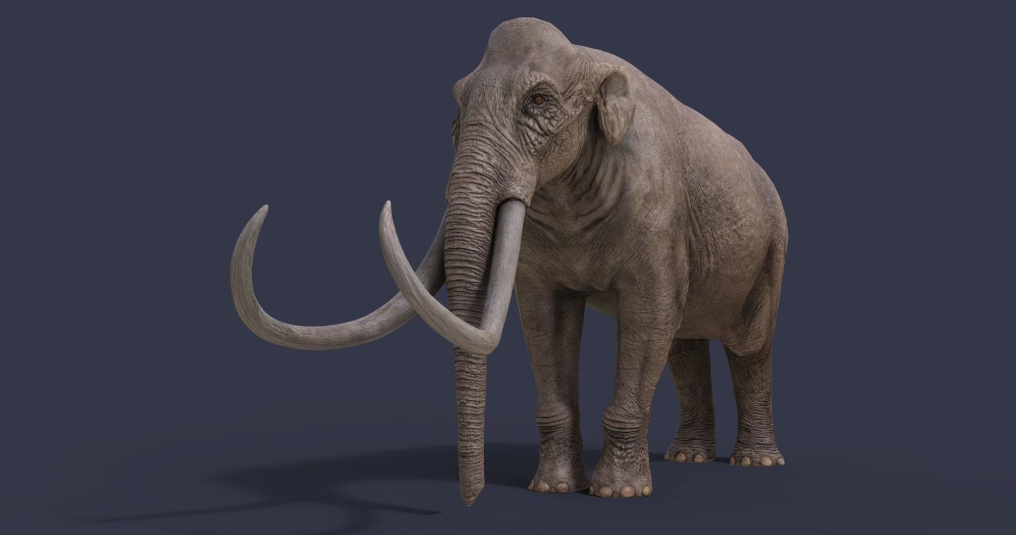 Extinct animals pack version 17 3D model | CGTrader
