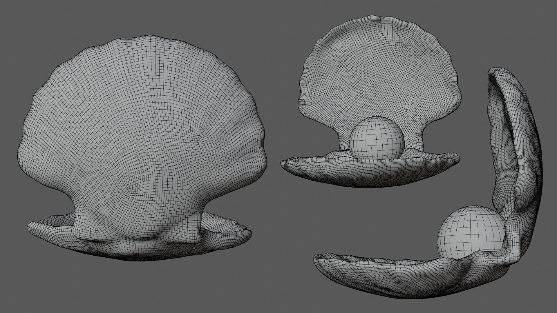 3D model Clam shell VR / AR / low-poly | CGTrader