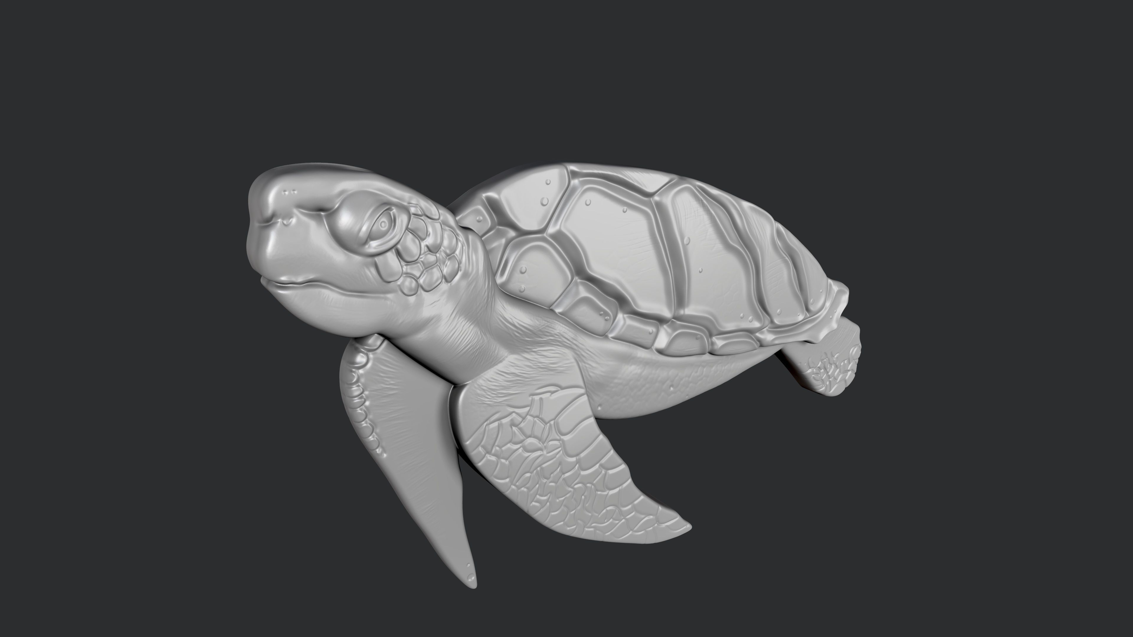 STL models for 3D printing and CNC Turtle 3D model 3D printable | CGTrader