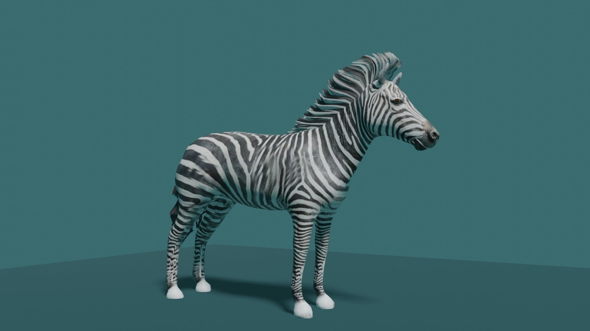 3D model ZEBRA VR / AR / low-poly | CGTrader