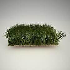 FREE GRASS free 3D model | CGTrader