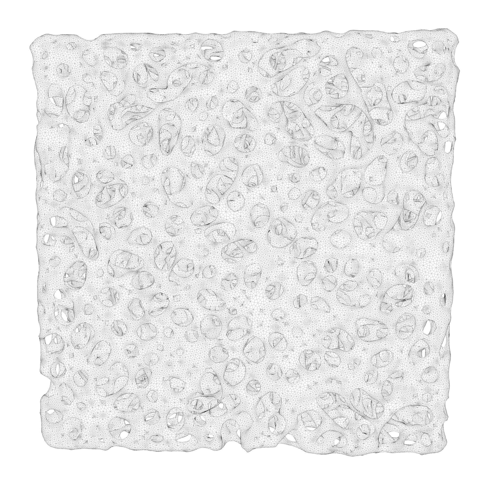 3D model Bone Sponge Structure VR / AR / low-poly | CGTrader