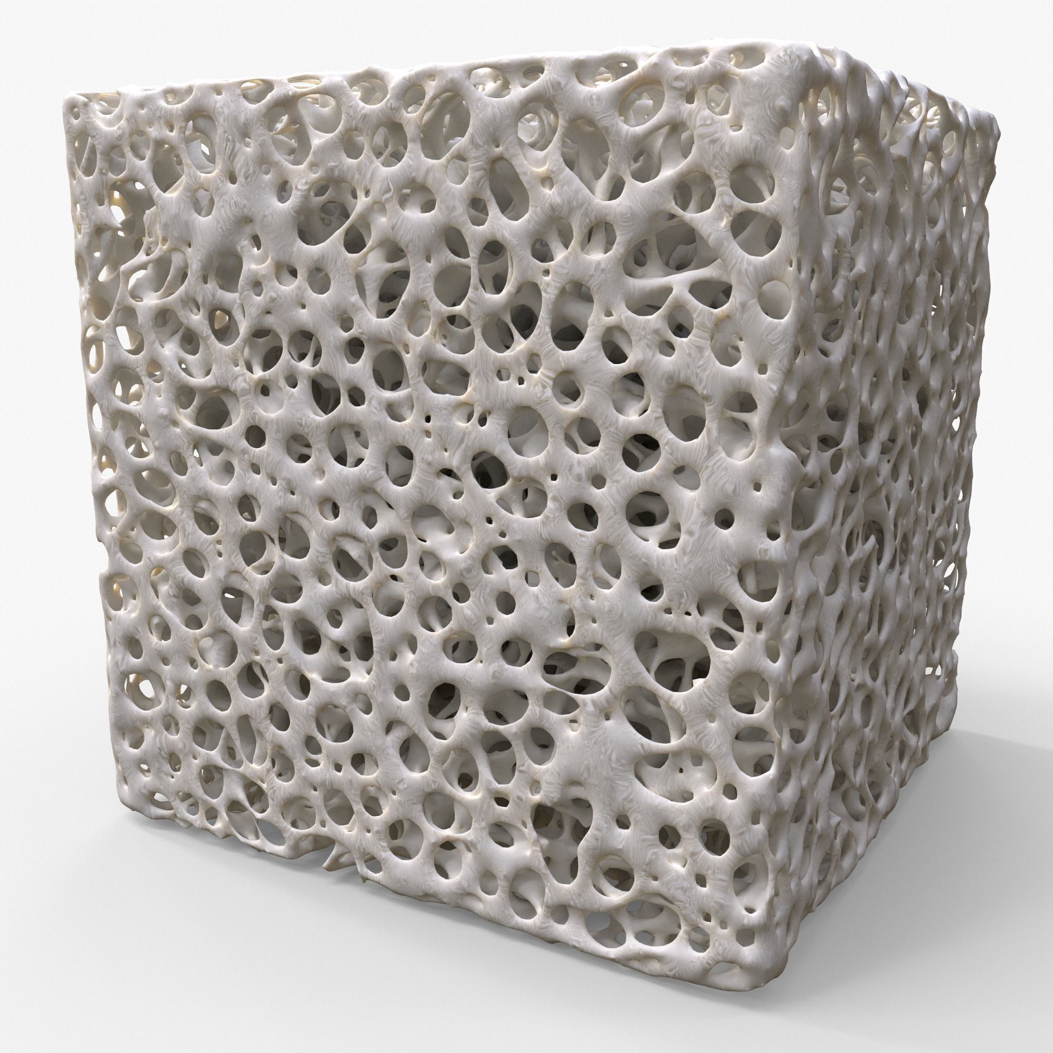 3D model Bone Sponge Structure VR / AR / low-poly | CGTrader