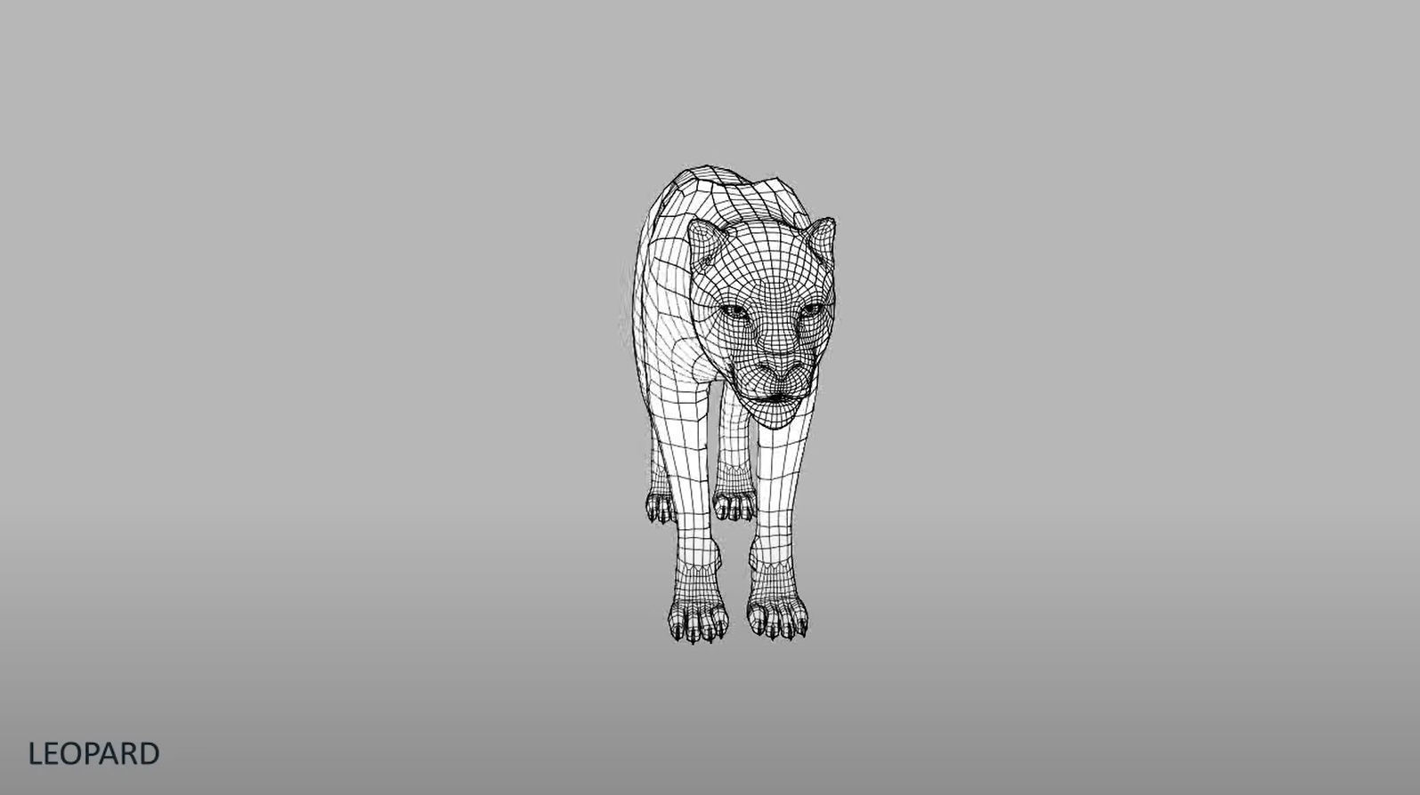Leopard in wild 3D model rigged | CGTrader