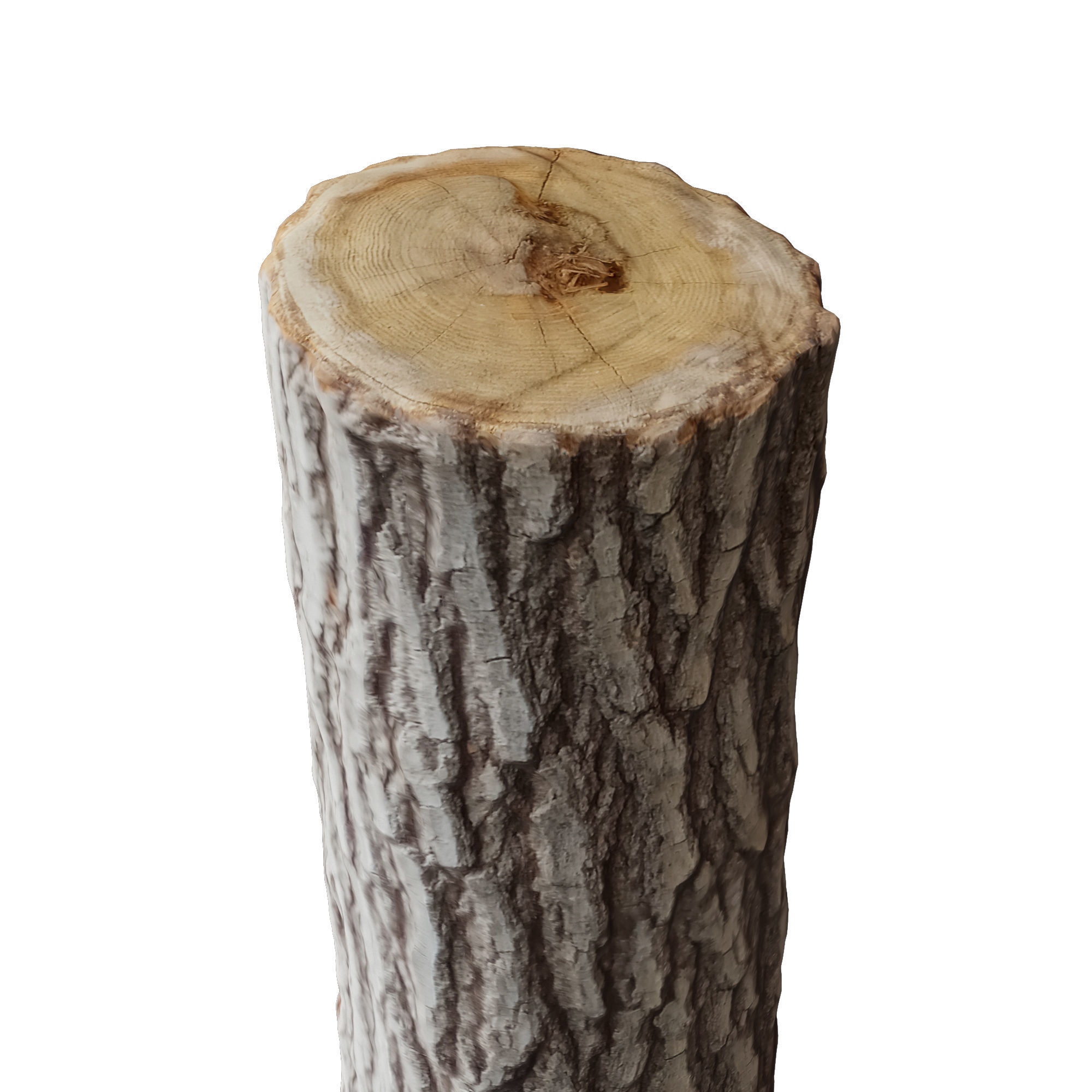 tree trunk 9 3D model | CGTrader