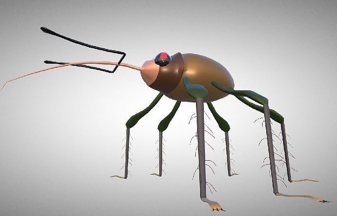 Insect 3D model animated rigged | CGTrader