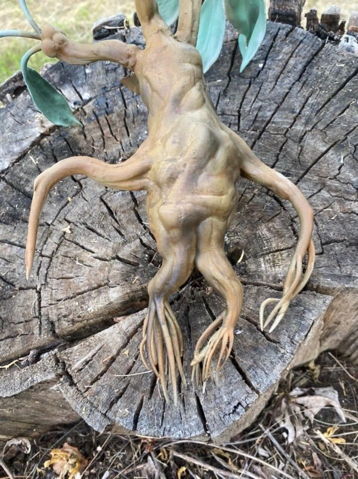 mandrake root plants from the Harry Potter movie 3D model 3D printable ...