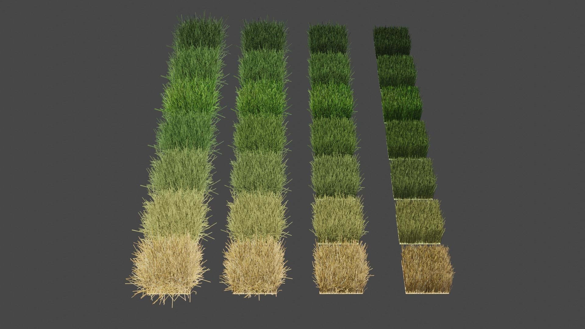 Different Kinds of Grasses 3D model | CGTrader