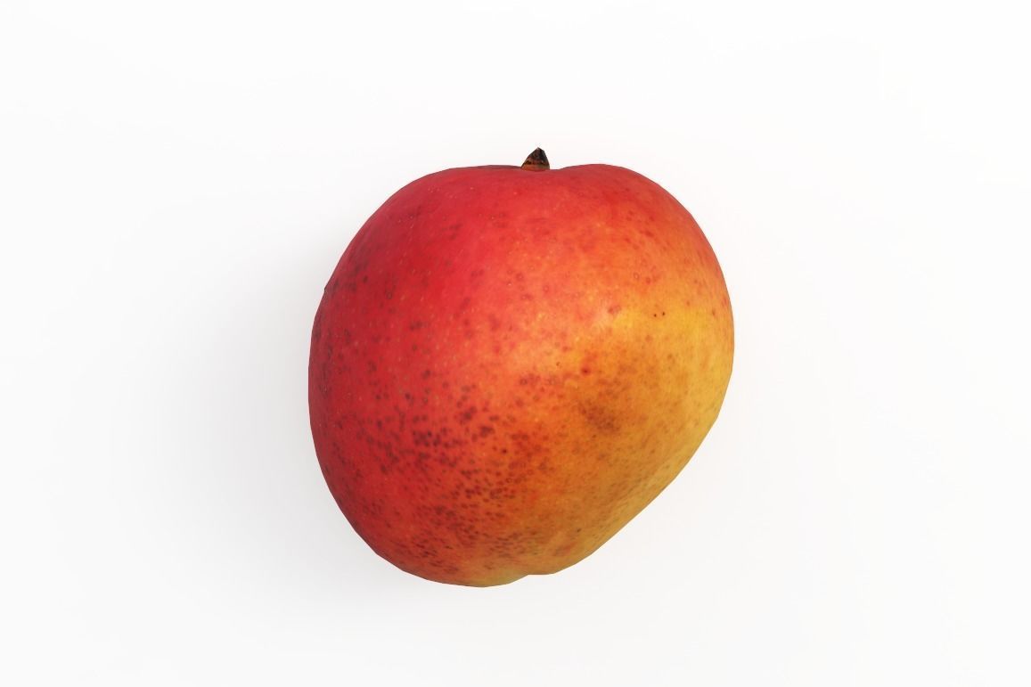 3D model Mango - scan VR / AR / low-poly | CGTrader