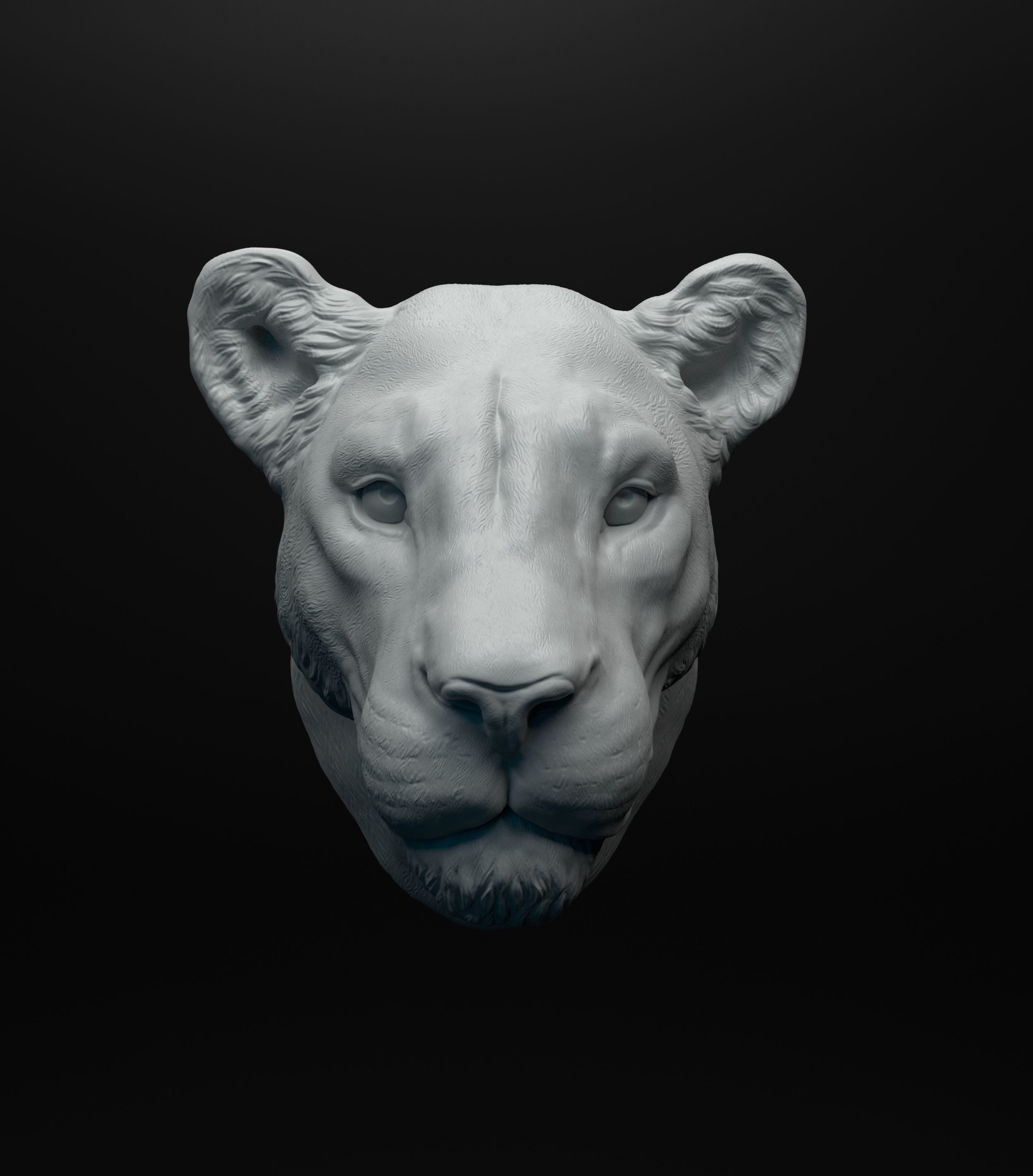 Lioness head intended for 3D printing 3D model 3D printable | CGTrader