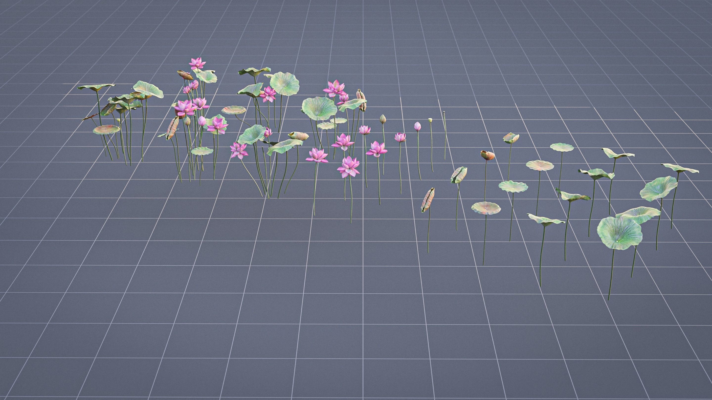 3D model Realistic Lotus Art VR / AR / low-poly | CGTrader