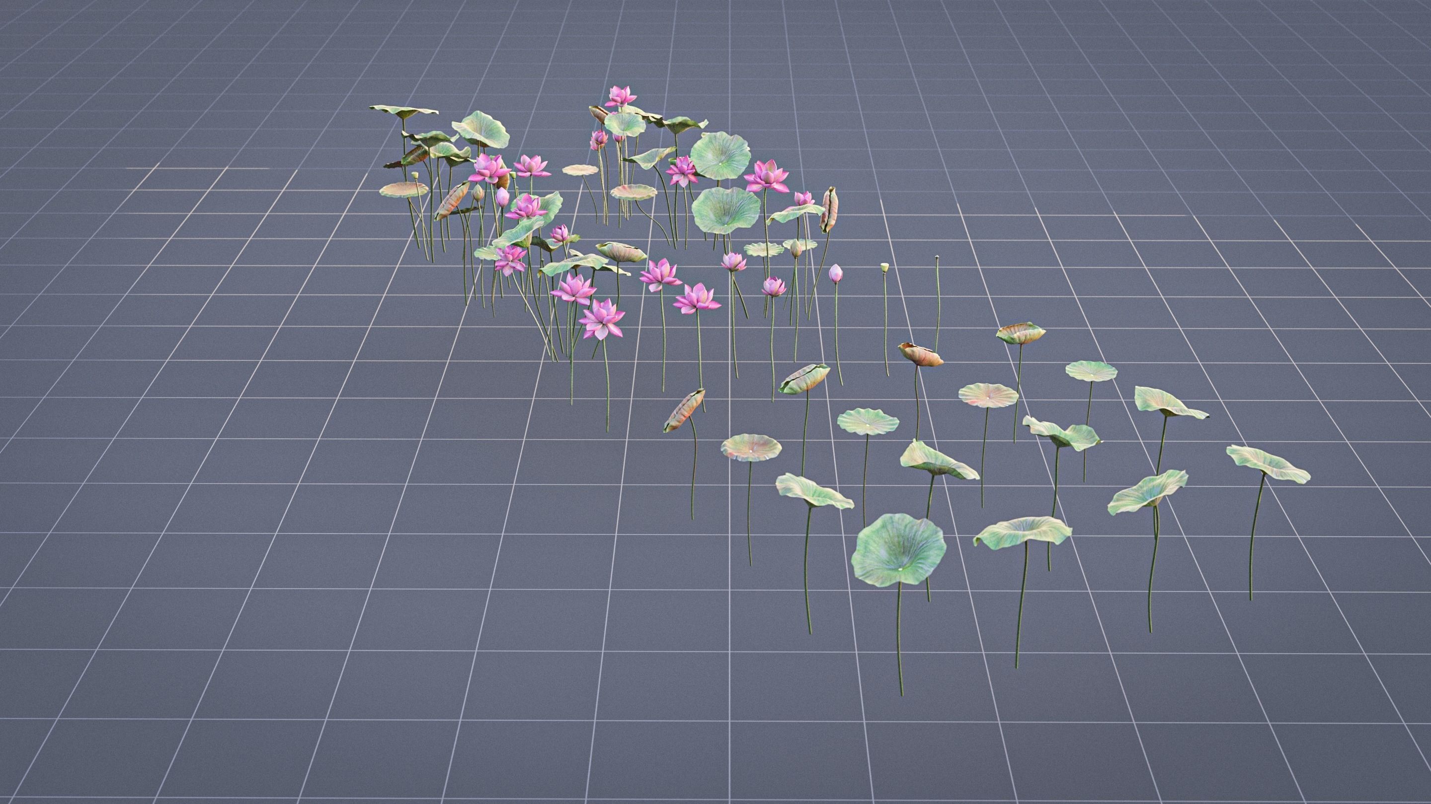 3D model Realistic Lotus Art VR / AR / low-poly | CGTrader